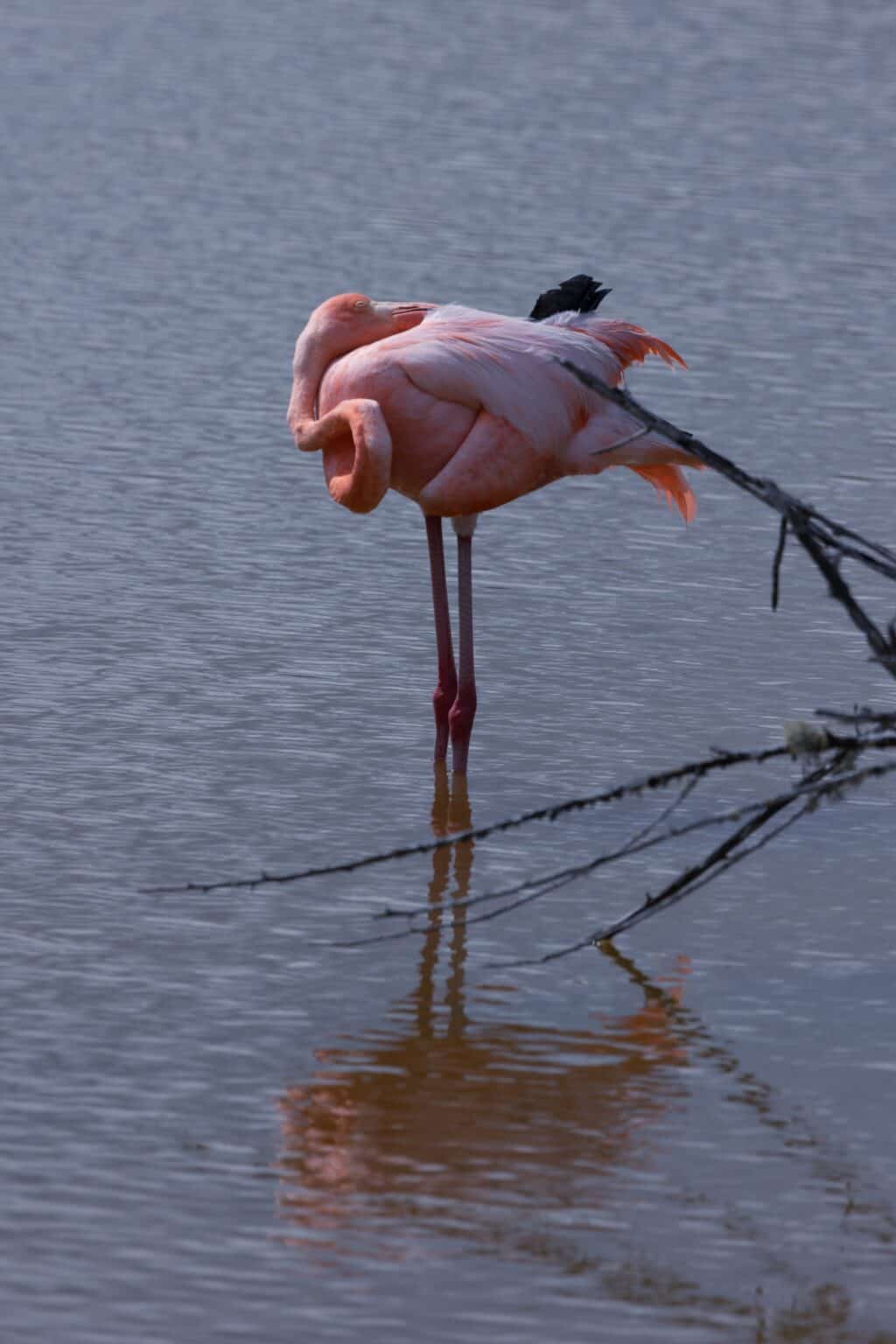 Gringo Trail: The Ultimate Guide 2024 - A Backpacker's World