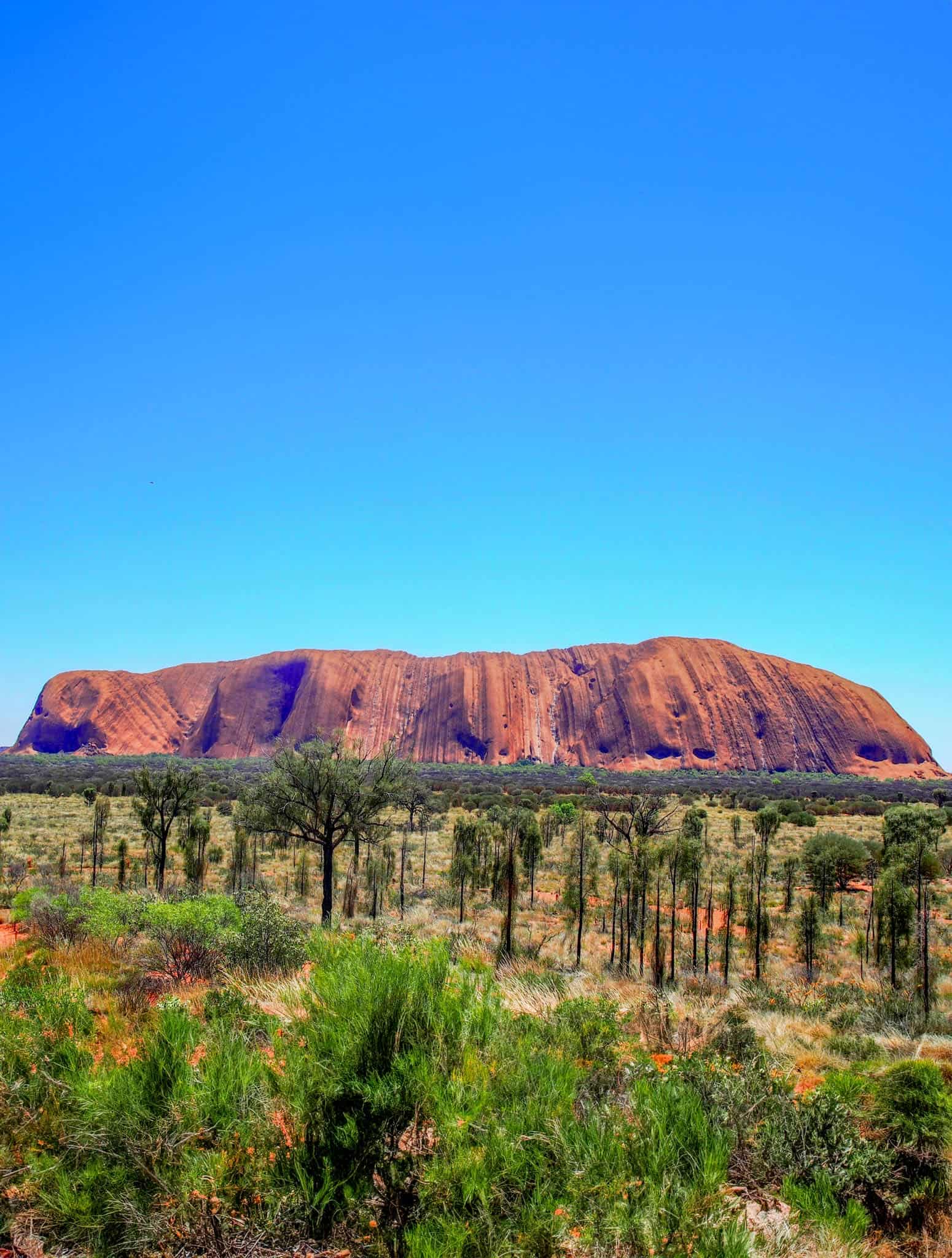 What is Australia famous for? (25 reasons) - A Backpacker's World