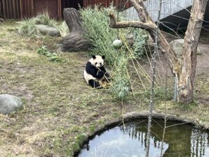 Is Denmark Expensive To Visit In 2024? - A Backpacker's World