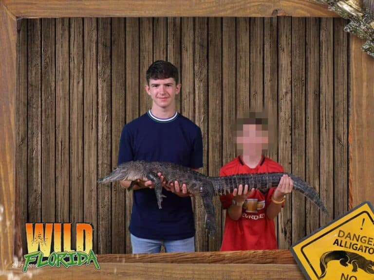 Wild Florida: Honest Review & Visiting Guide 2025 - A Backpacker's World