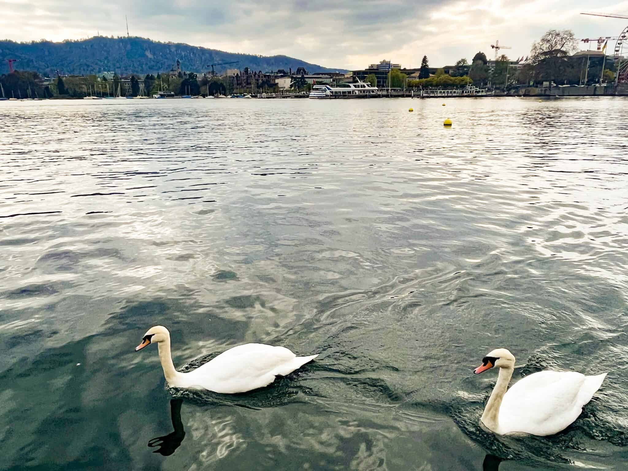 Zürich Language: What language do they speak in Zürich? - A Backpacker ...