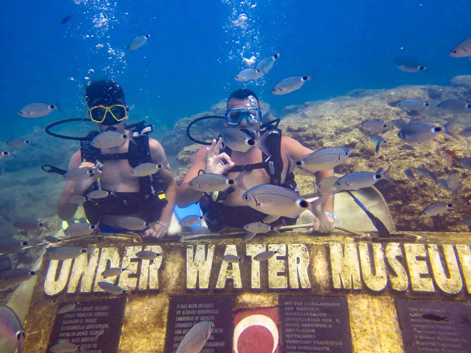 Side Diving: 5 Best Scuba Diving Tours 2024 - A Backpacker's World
