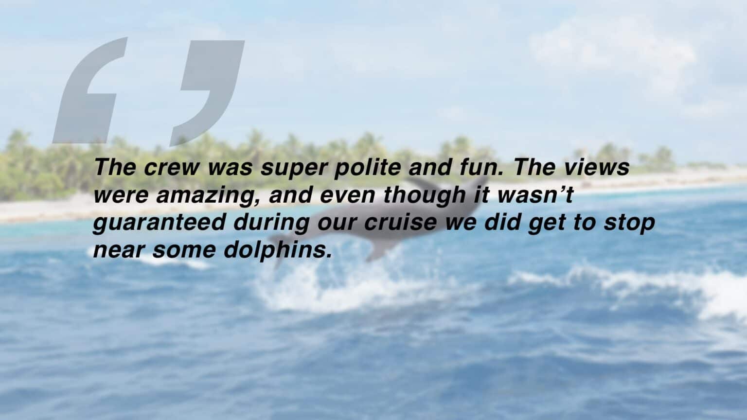 10 Best Dolphin Tours Tampa To Take In 2025 - A Backpacker's World