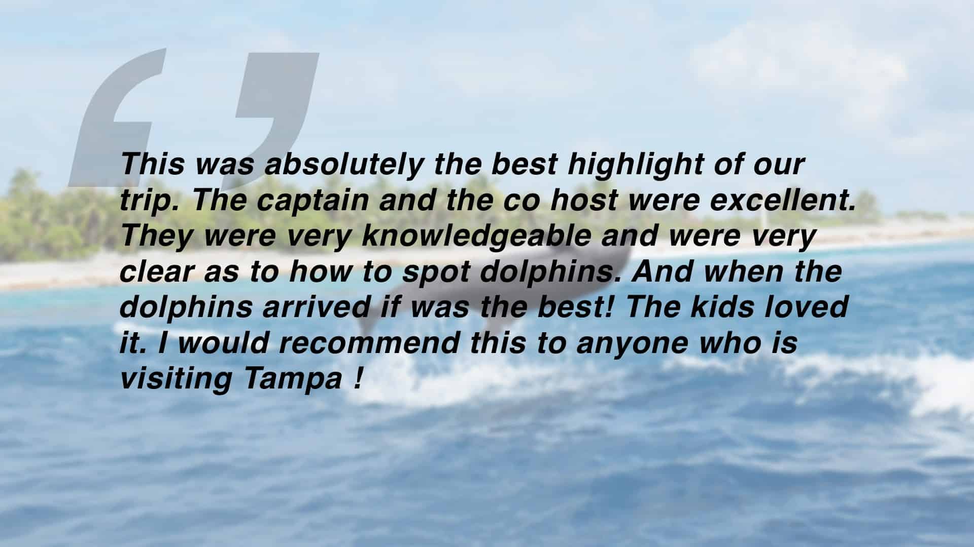 10 Best Dolphin Tours Tampa To Take In 2025 - A Backpacker's World