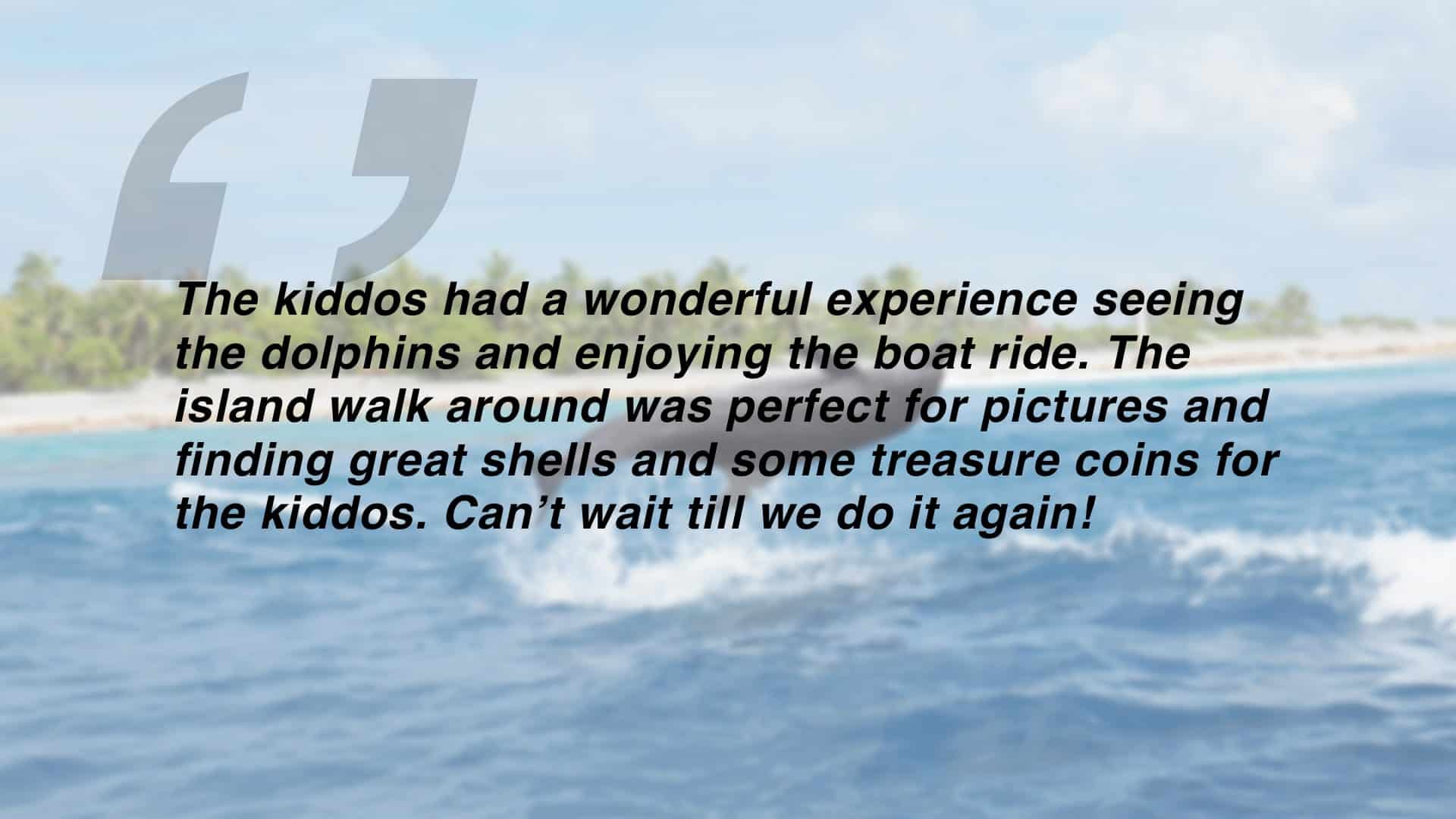 10 Best Dolphin Tours Tampa To Take In 2025 - A Backpacker's World