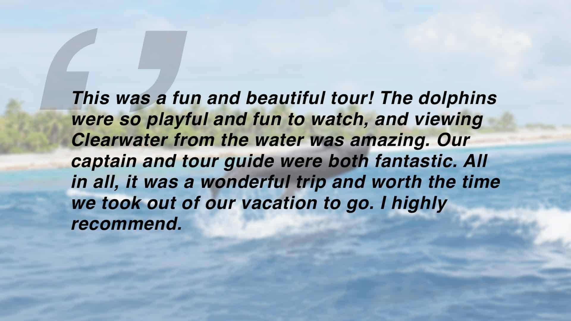 10 Best Dolphin Tours Tampa To Take In 2025 - A Backpacker's World