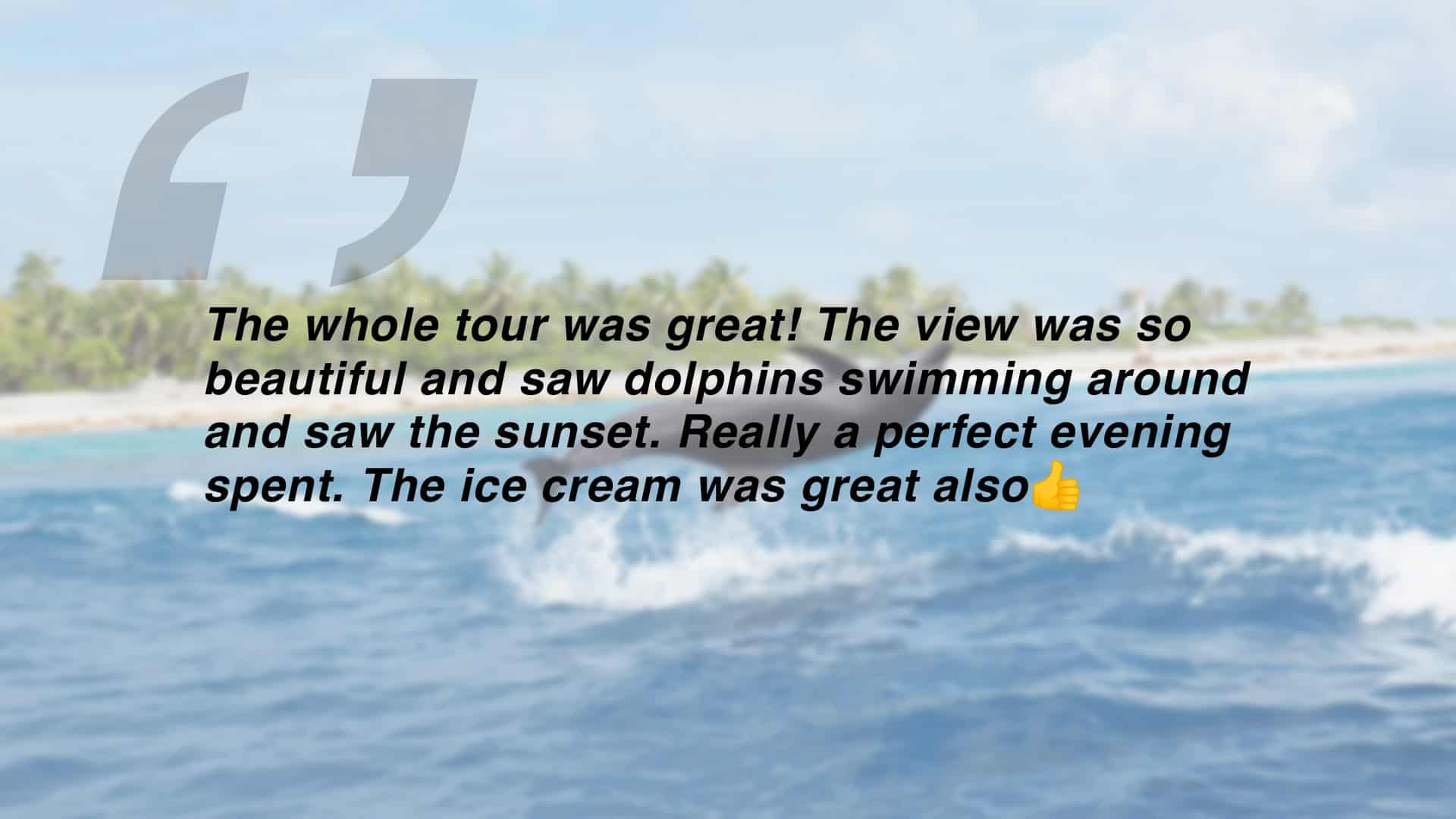 10 Best Dolphin Tours Tampa To Take In 2025 - A Backpacker's World