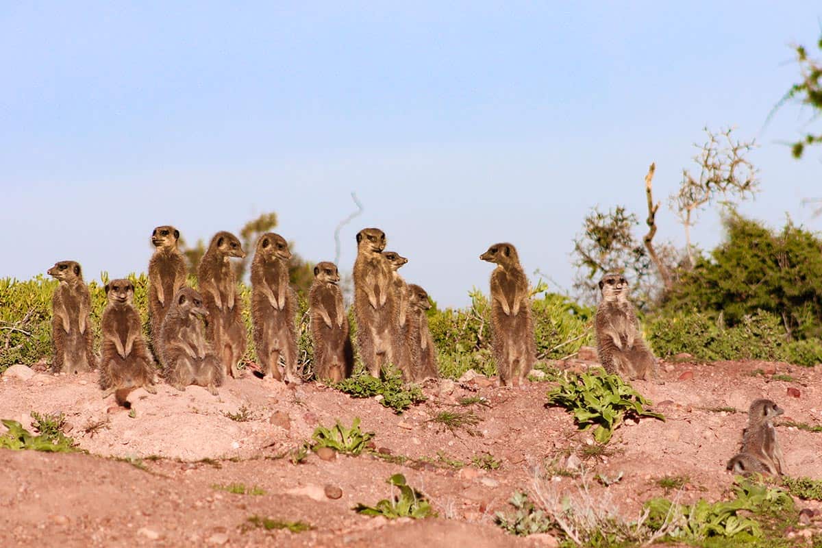 10 Best Backpacking Routes Around The World - A Backpacker's World