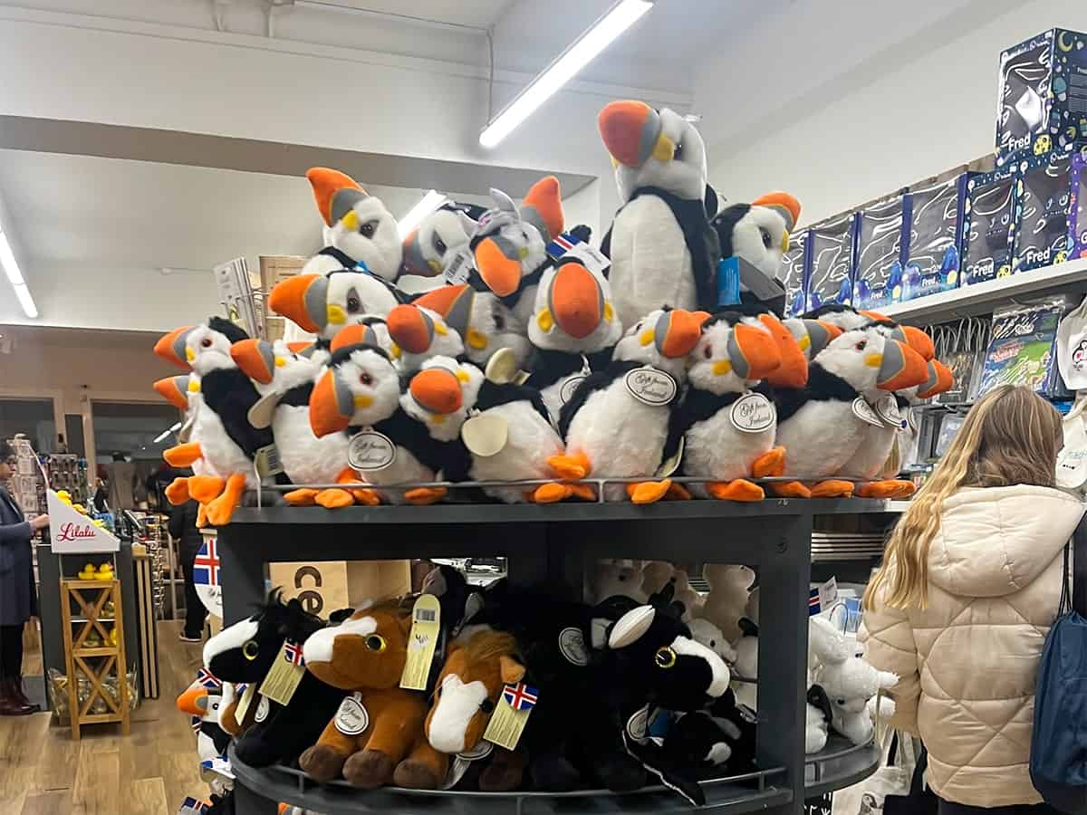 17 Best Souvenirs From Iceland To Remember Your Trip With - A ...